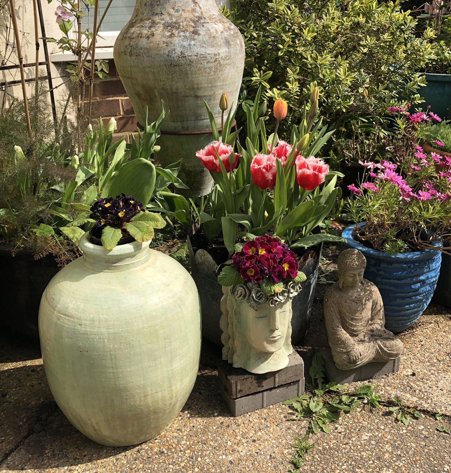 Caroline Smith - SAA HubSAA Hub