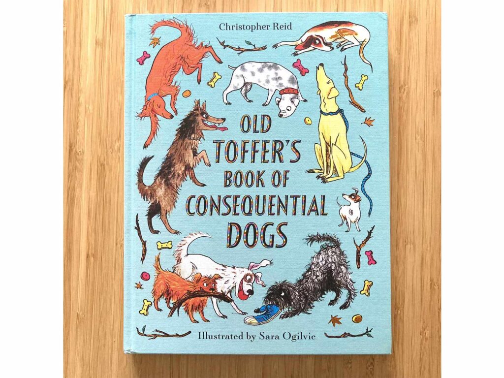 Sara Ogilvie - SAA HubSAA Hub