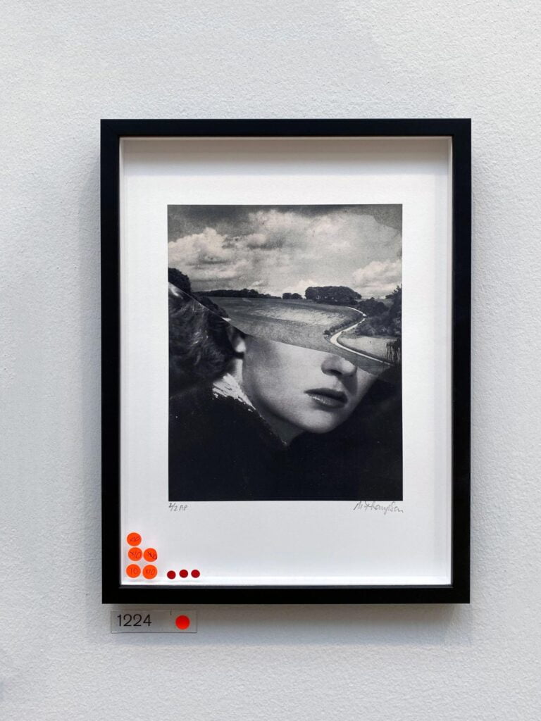 Michelle Thompson - Summer Exhibition - SAA HubSAA Hub