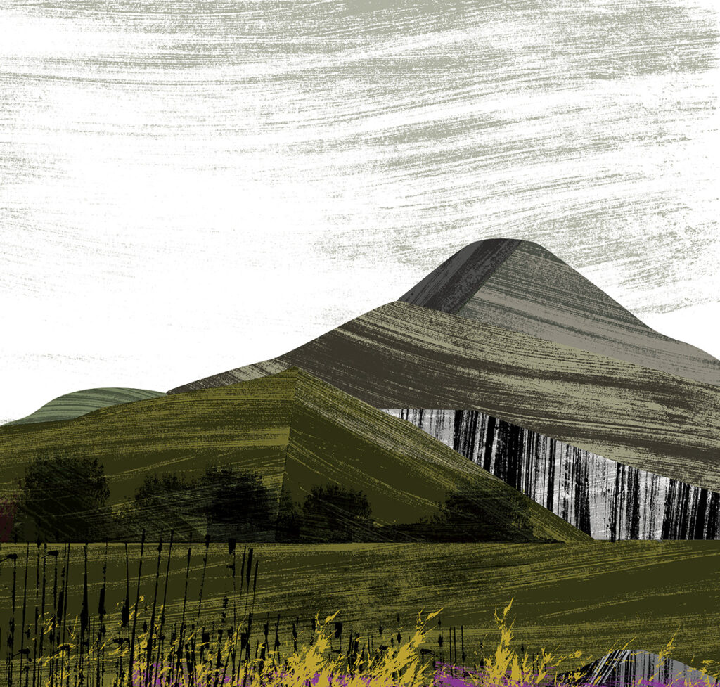 Lee Ford for The Saint Patrick Centre - SAA HubSAA Hub